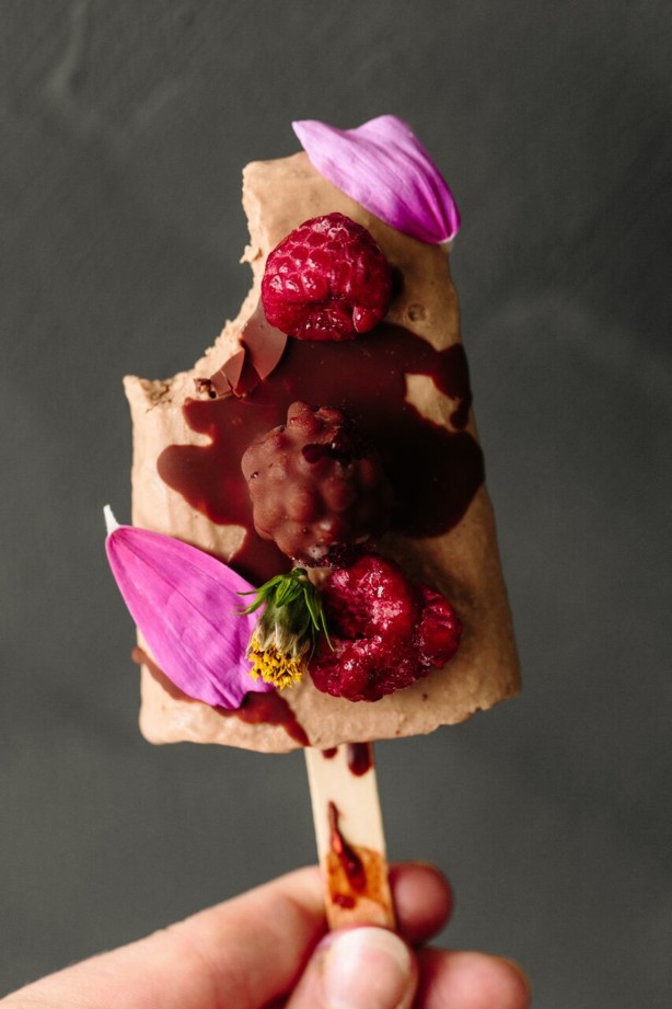 Magical Frozen Fudge Pops