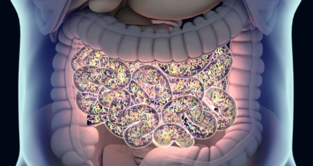 Resistant Starch 101: Your Guide to Benefits and Sources