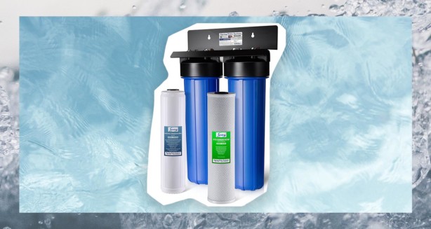 Tap vs. Filtered Water: Everything You Need to Know