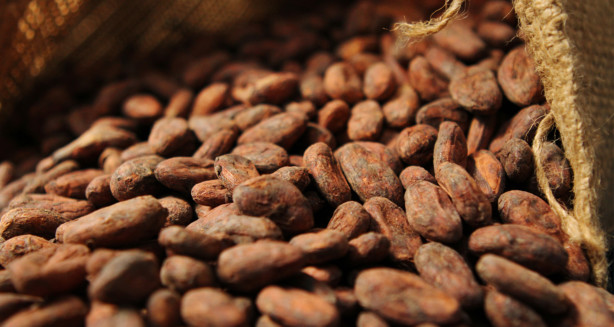 How to Use Cacao Butter, the Keto-Friendly Fat Your Diet Needs