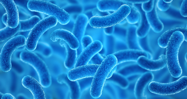Alcohol and Immune System Function: How Drinking Impacts Immunity