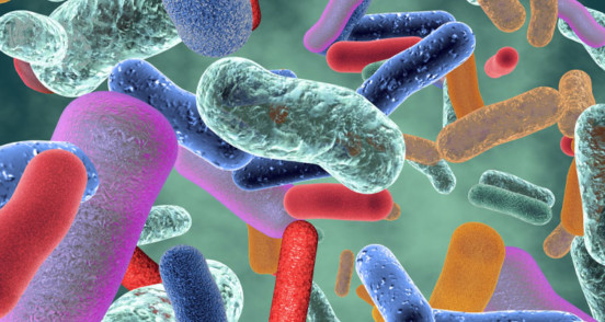 The Immune System in Your Gut: What We Know So Far