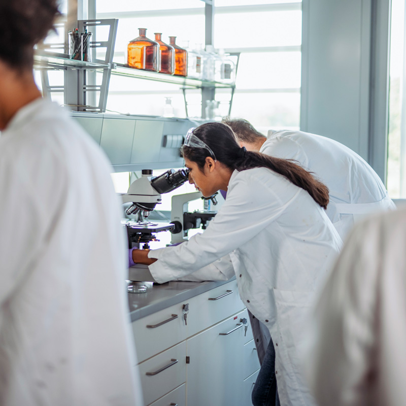 Testing Standards Bulletproof