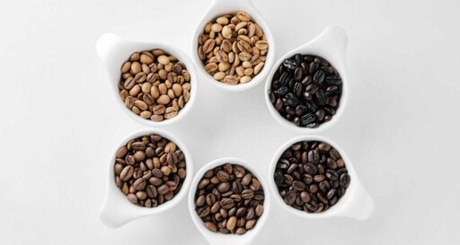 Light Roast vs Dark Roast: Coffee Roast Comparison Guide